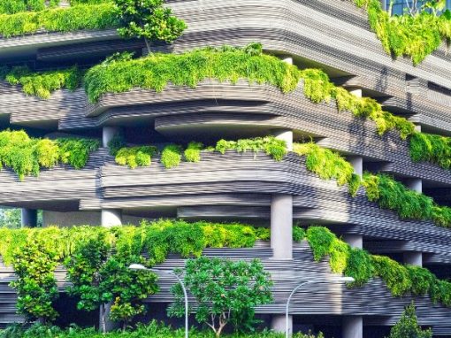 Green Building Materials : Sustainable Choices for UAE Construction ...